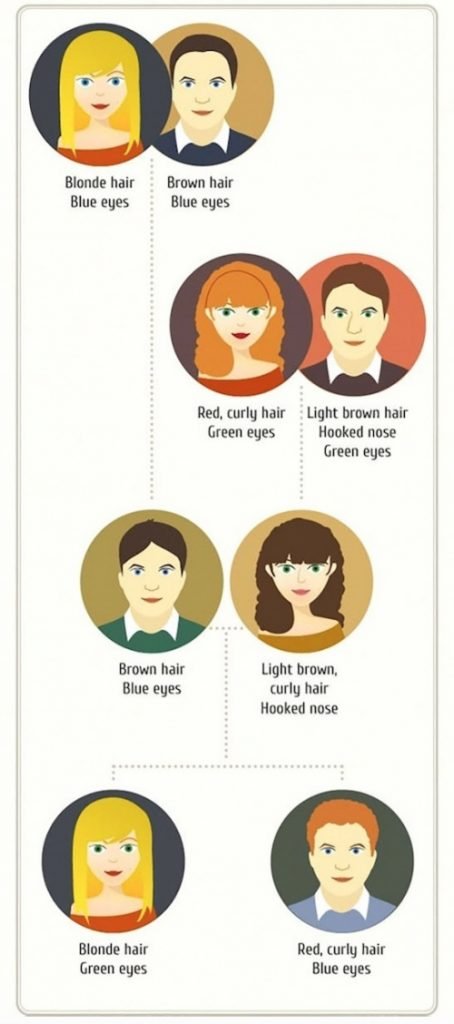 What Your Future Child Will Look Like!