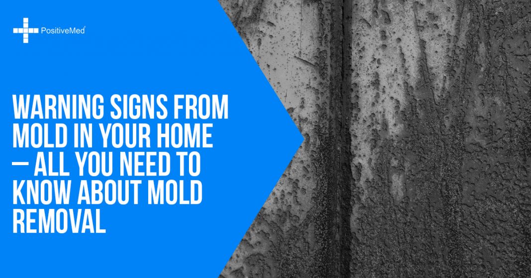 Warning Signs From Mold In Your Home - All You Need to Know About Mold ...