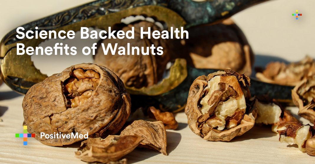 Science Backed Health Benefits of Walnuts - PositiveMed