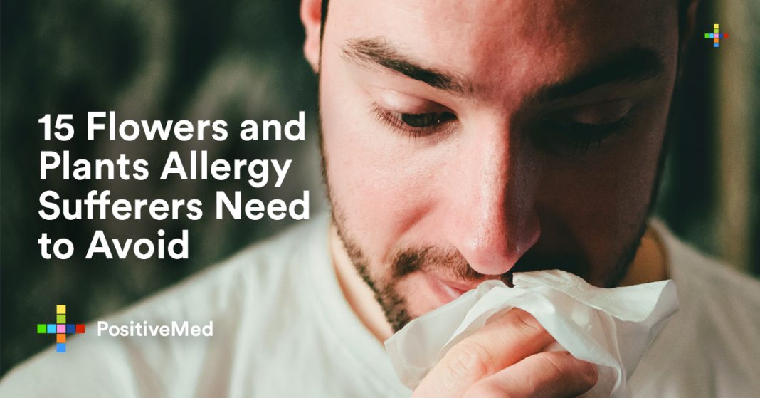 15 Flowers and Plants Allergy Sufferers Need to Avoid - PositiveMed