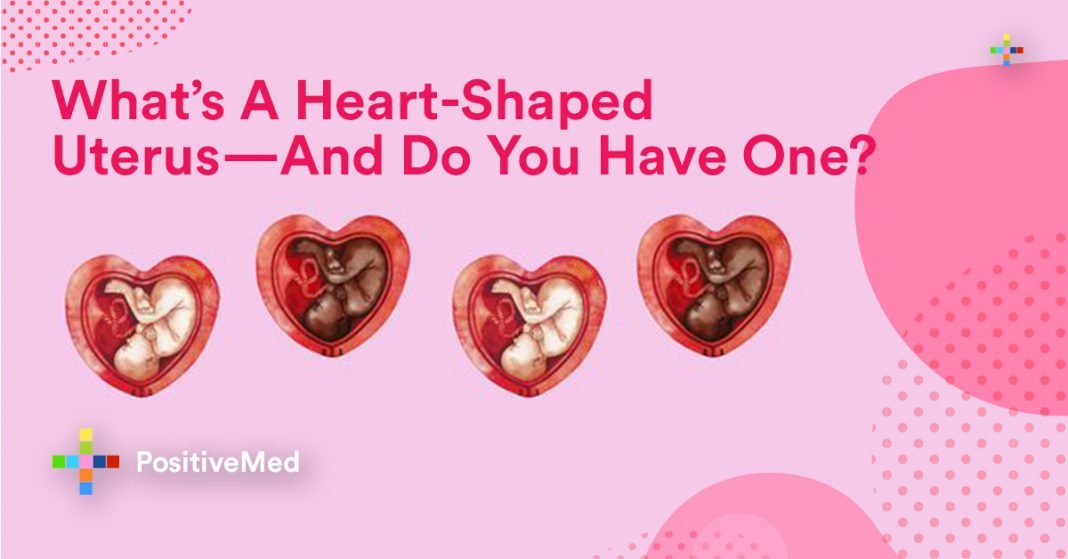 What's a Heart-Shaped Uterus—and Do You Have One? - PositiveMed