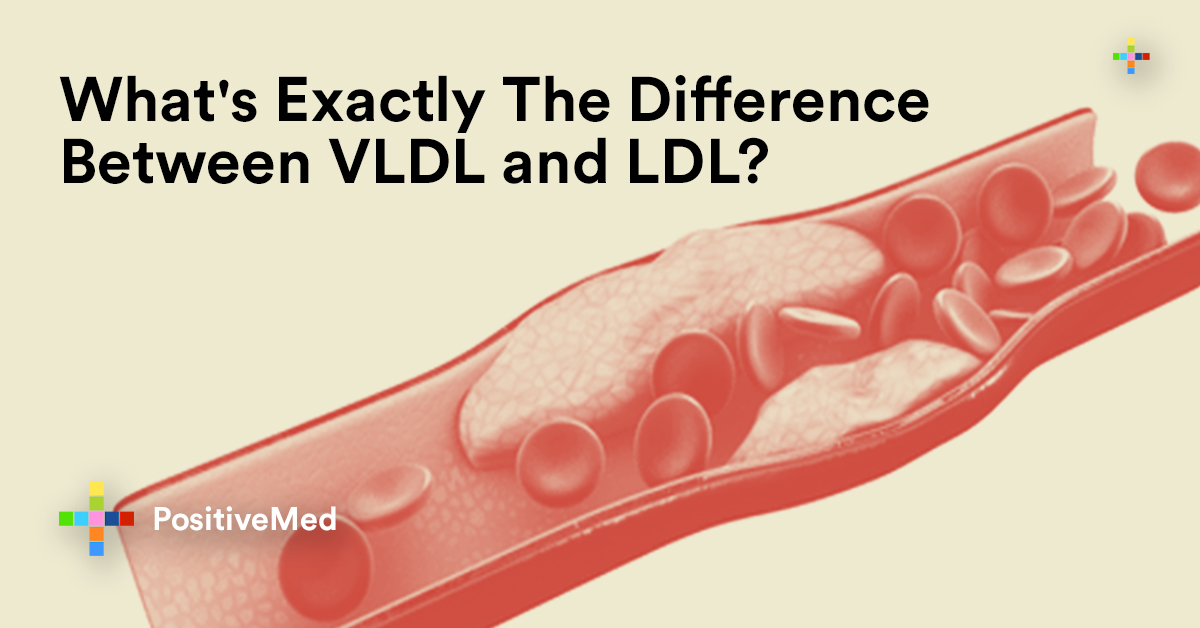 What's Exactly The Difference Between VLDL and LDL? - PositiveMed