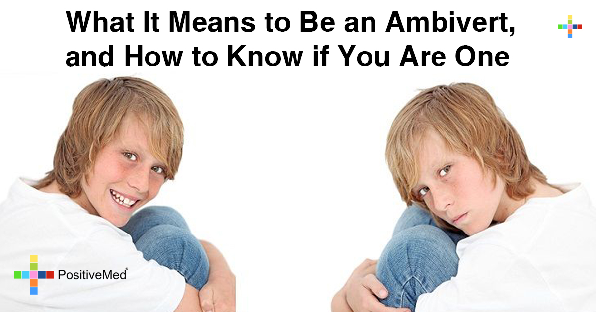 What-It-Means-to-Be-an-Ambivert-and-How-to-Know-if-You-Are-One2 ...