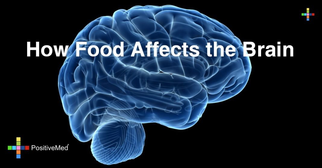 How Food Affects the Brain - PositiveMed