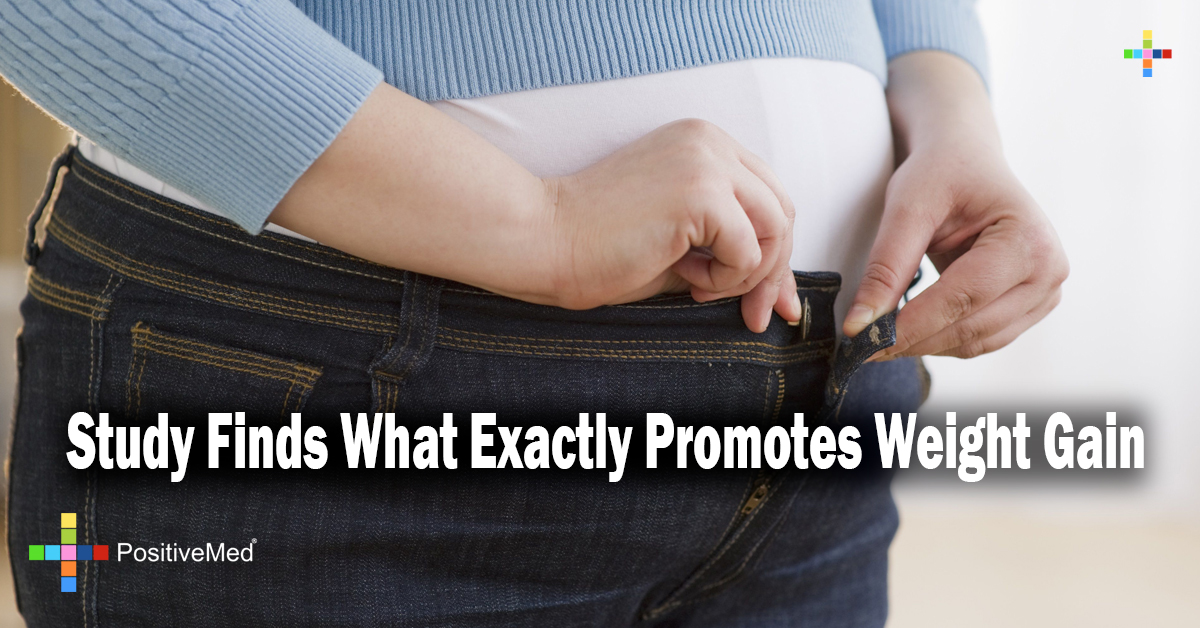 Study Finds What Exactly Promotes Weight Gain - PositiveMed