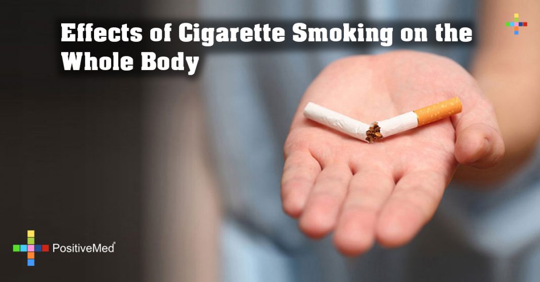Effects of Cigarette Smoking on the Whole Body - PositiveMed