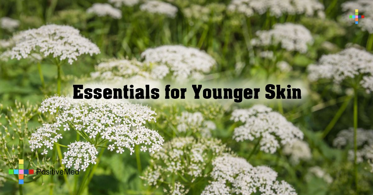 Essentials for Younger Skin - PositiveMed