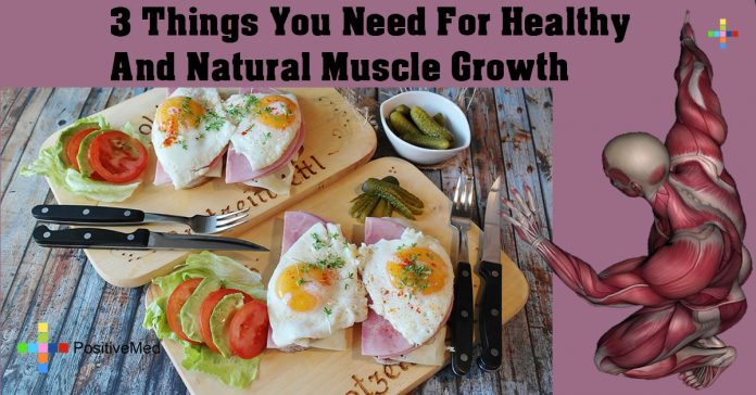 3 Things You Need For Healthy And Natural Muscle Growth - PositiveMed