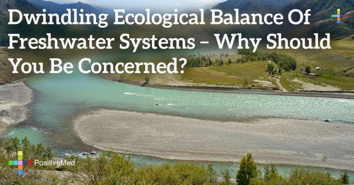 Dwindling Ecological Balance of Freshwater Systems – Why Should You Be ...