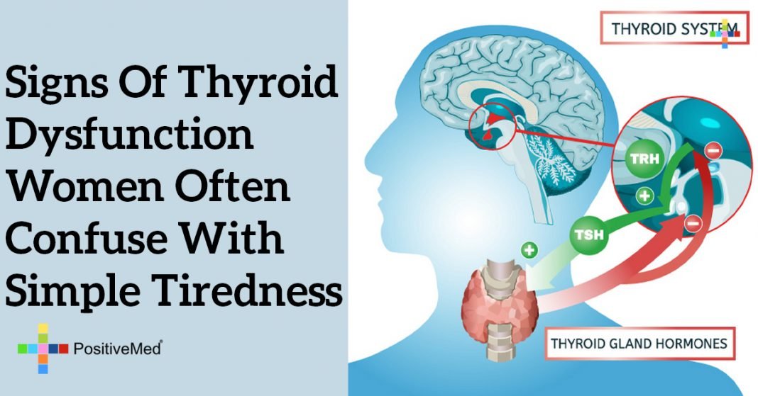 Signs of Thyroid Dysfunction Women Often Confuse With Simple Tiredness ...