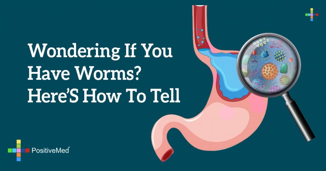 Wondering If You Have Worms? Here's How to Tell - PositiveMed