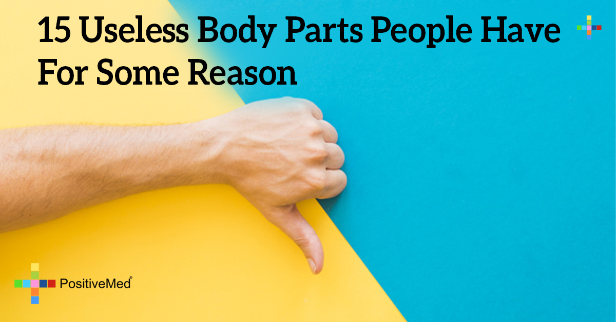 15-Useless-Body-Parts-People-Have-For-Some-Reason - PositiveMed