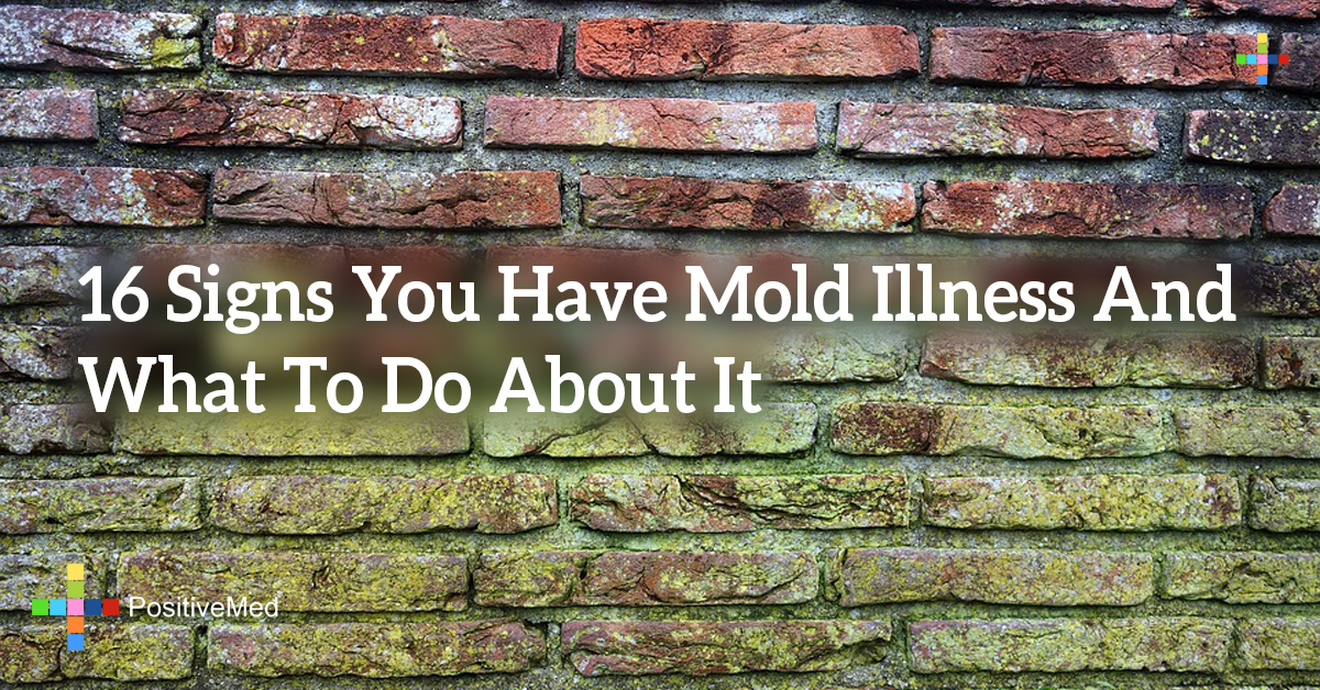 16 Signs You Have Mold Illness And What To Do About It - PositiveMed