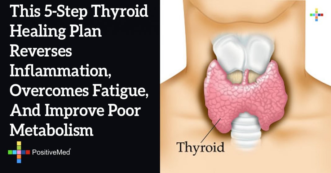 This 5-Step Thyroid Healing Plan Reverses Inflammation, Overcomes ...