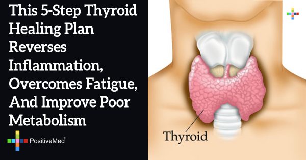 This 5-Step Thyroid Healing Plan Reverses Inflammation, Overcomes Fatigue, And Improve Poor ...