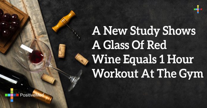 A New Study Shows A Glass Of Red Wine Equals 1 Hour Workout At The Gym ...