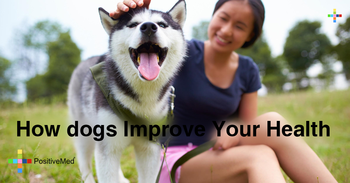 How dogs Improve Your Health - PositiveMed
