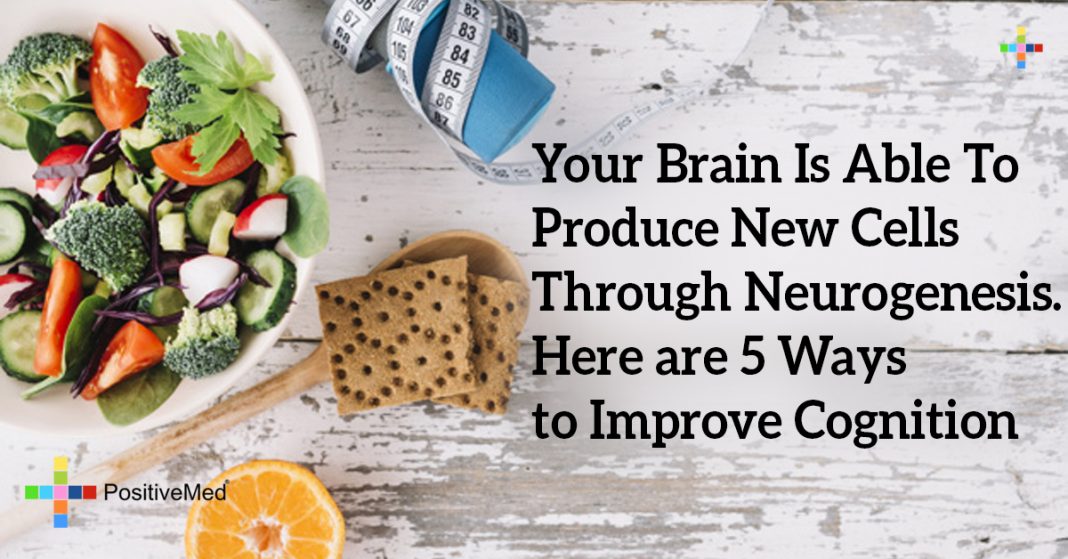 Your Brain Is Able To Produce New Cells Through Neurogenesis. Here are ...