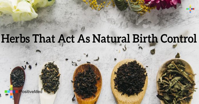 Herbs That Act As Natural Birth Control