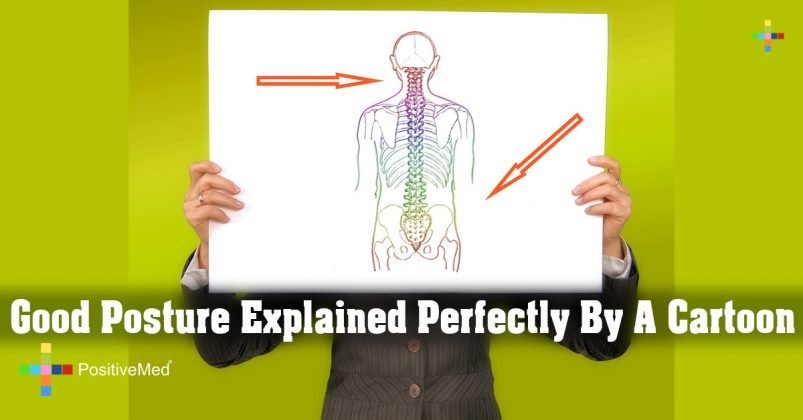 Good Posture Explained Perfectly By A Cartoon