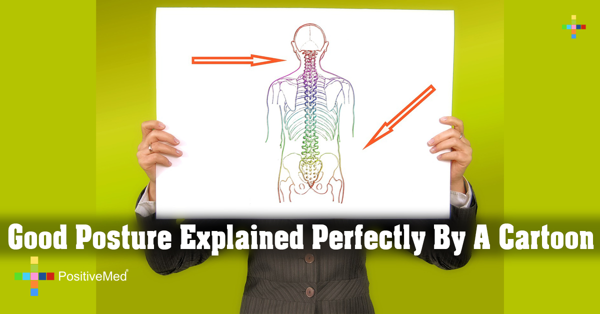 Good Posture Explained Perfectly By A Cartoon