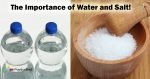 The Importance of Water and Salt!