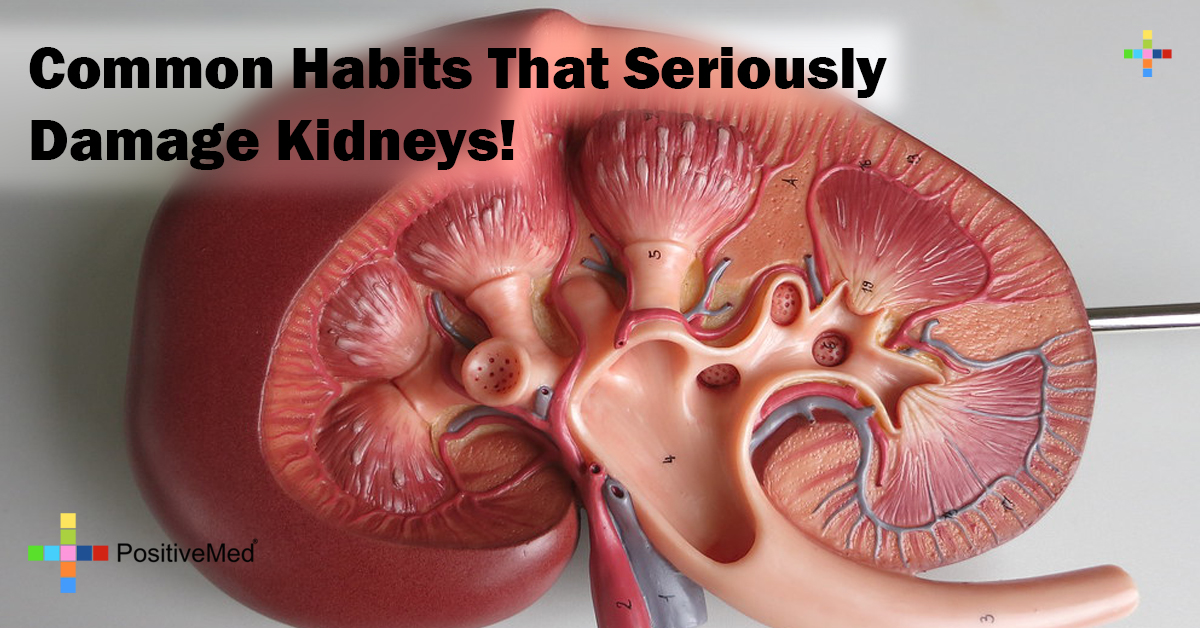 Common-Habits-That-Seriously-Damage-Kidneys - PositiveMed