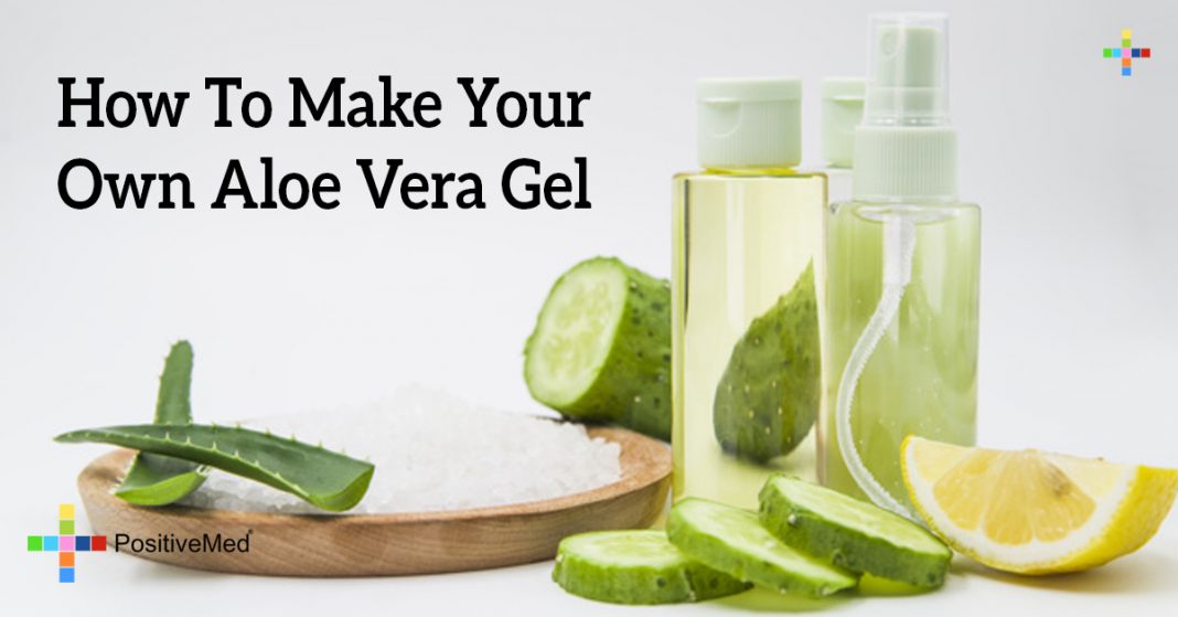 How To Make Your Own Aloe Vera Gel