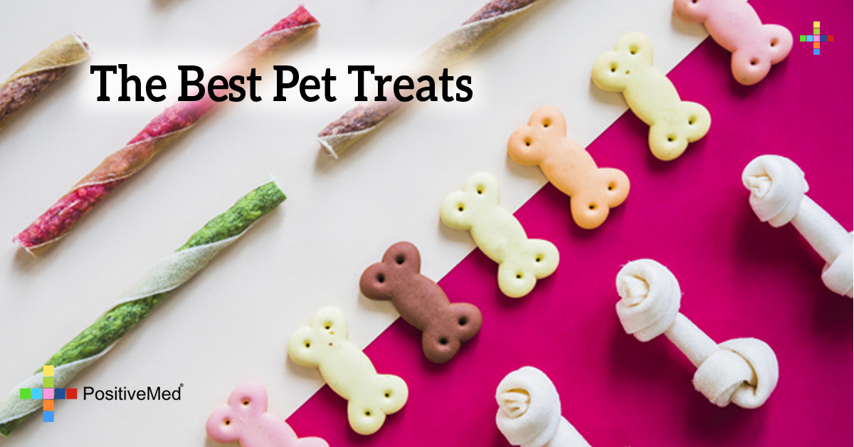 The Best Pet Treats