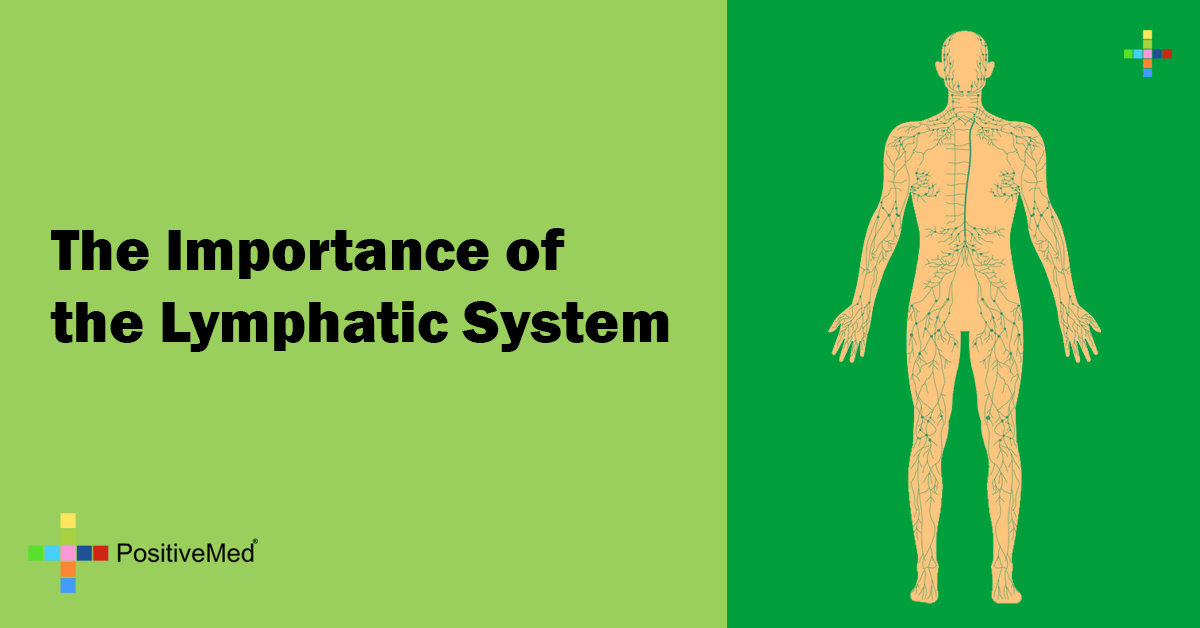 The-Importance-of-the-Lymphatic-System - PositiveMed