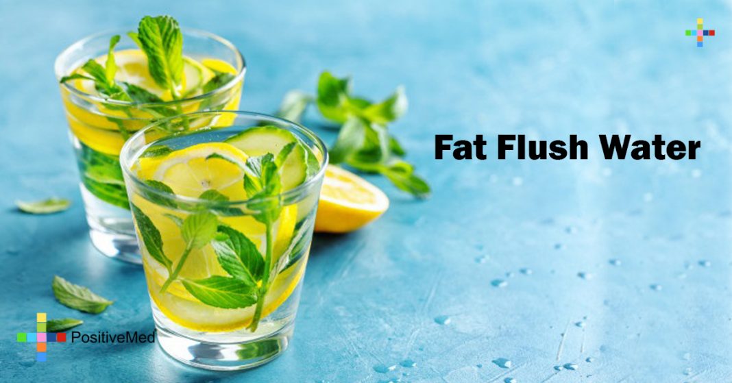 Fat Flush Water
