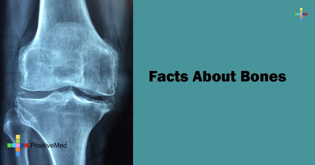 Facts-About-Bones - PositiveMed