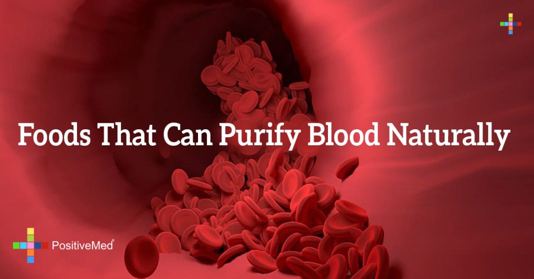 Foods that Can Purify Blood Naturally