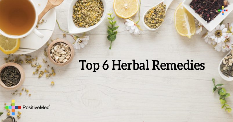 Top 6 Herbal Remedies