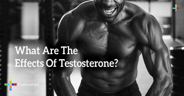What Are The Effects Of Testosterone?