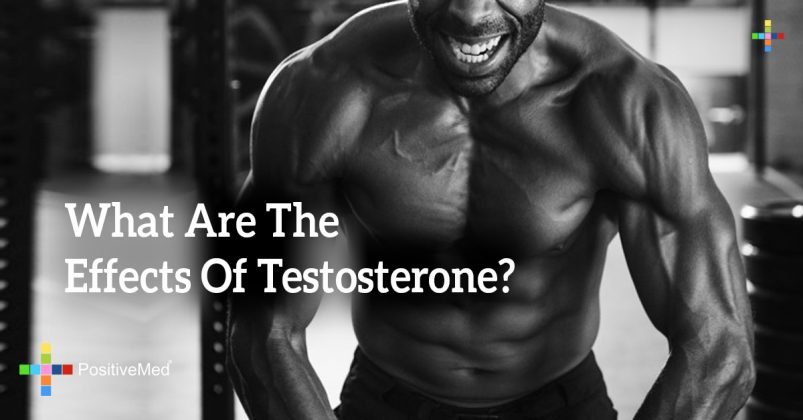 What Are The Effects Of Testosterone? What Are The Effects Of Testosterone?
