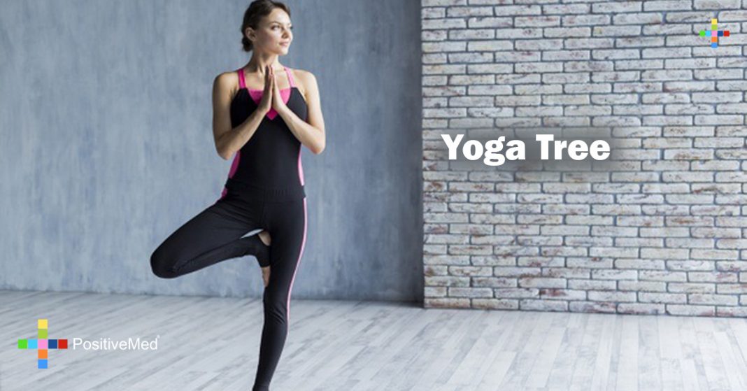 Yoga Tree - PositiveMed
