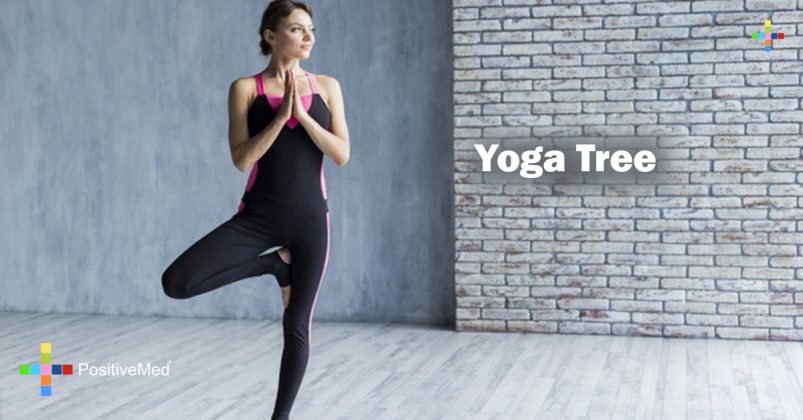 Yoga Tree - PositiveMed