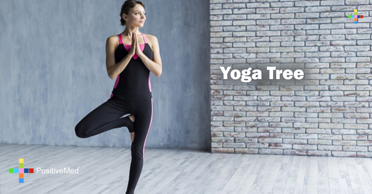 Yoga Tree - PositiveMed