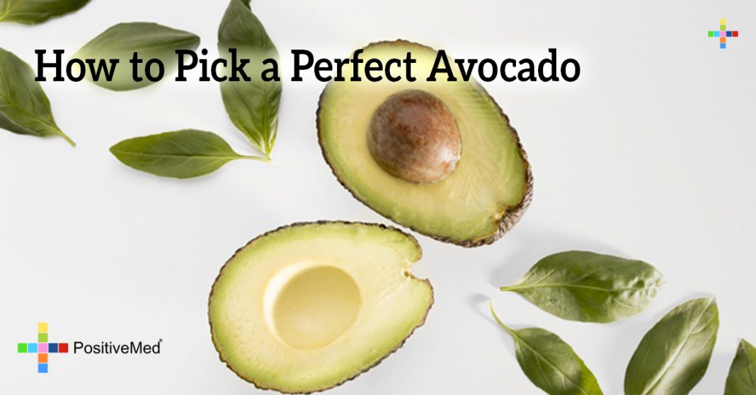 How to Pick a Perfect Avocado - PositiveMed
