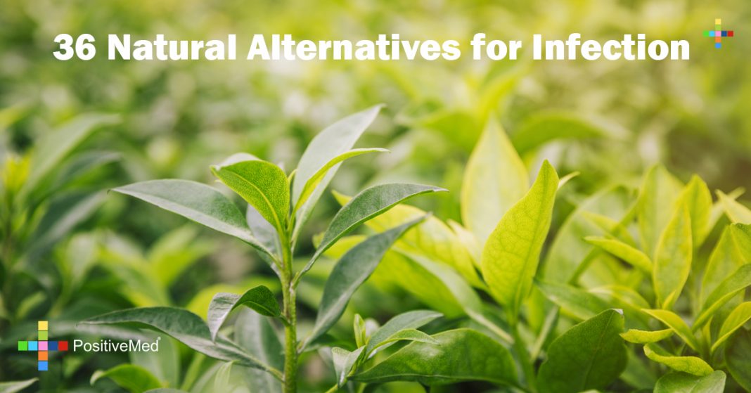 36 Natural Alternatives for Infection - PositiveMed