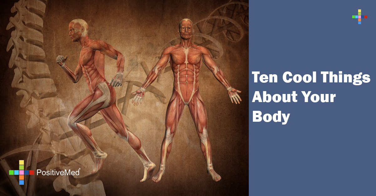 Ten-Cool-Things-About-Your-Body - PositiveMed