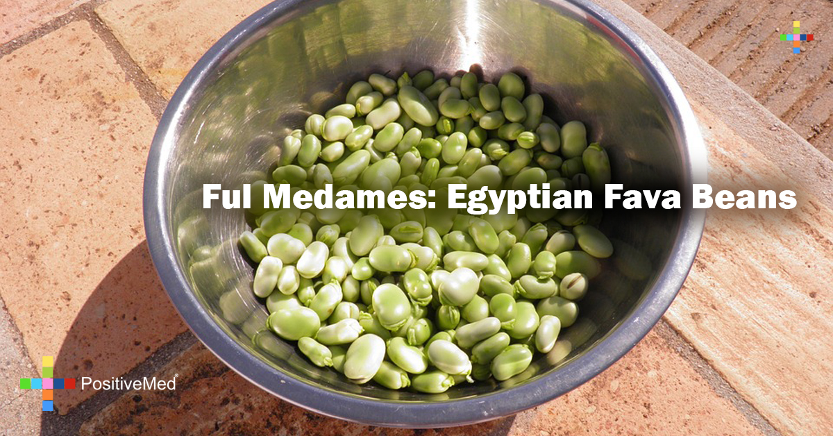 Ful Medames: Egyptian Fava Beans - PositiveMed