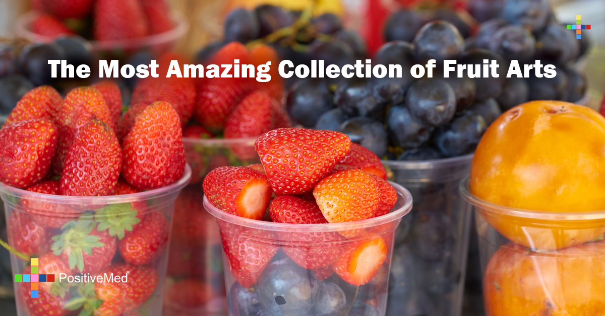 The Most Amazing Collection of Fruit Arts - PositiveMed