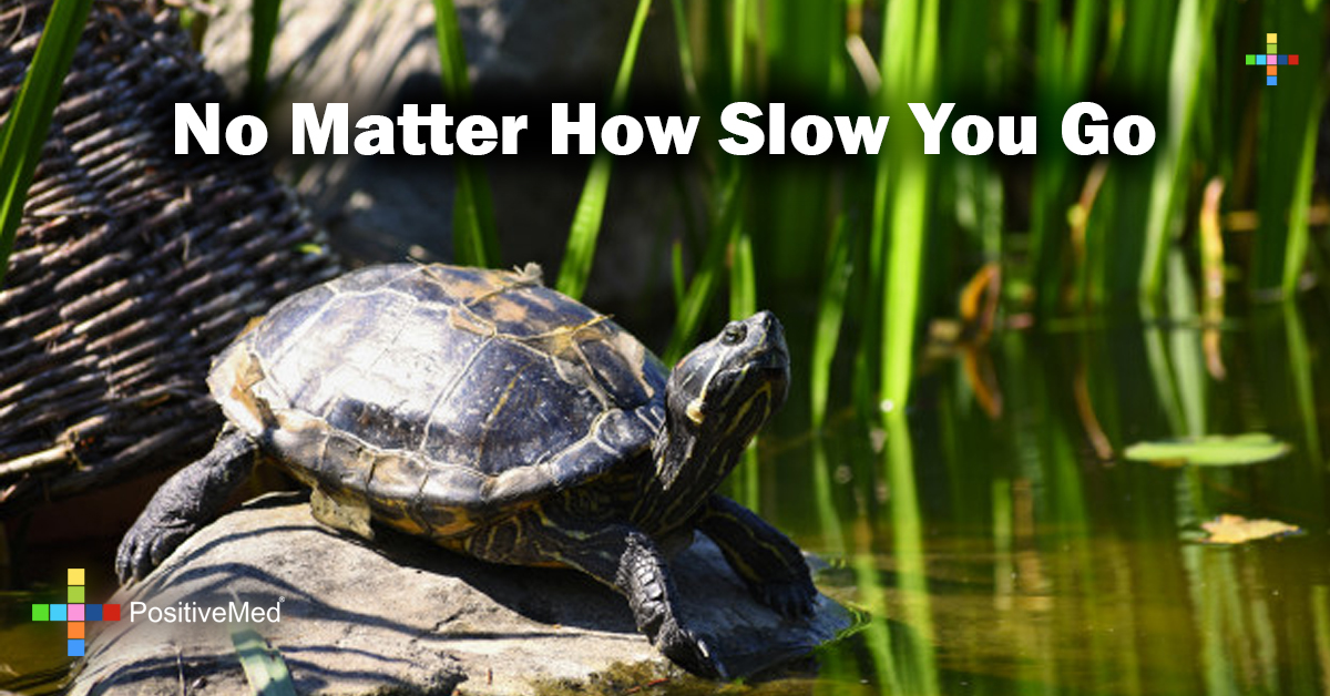 No matter how slow you go - PositiveMed