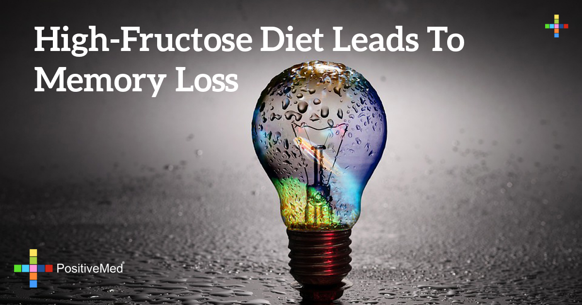 High-Fructose Diet Leads To Memory Loss - PositiveMed