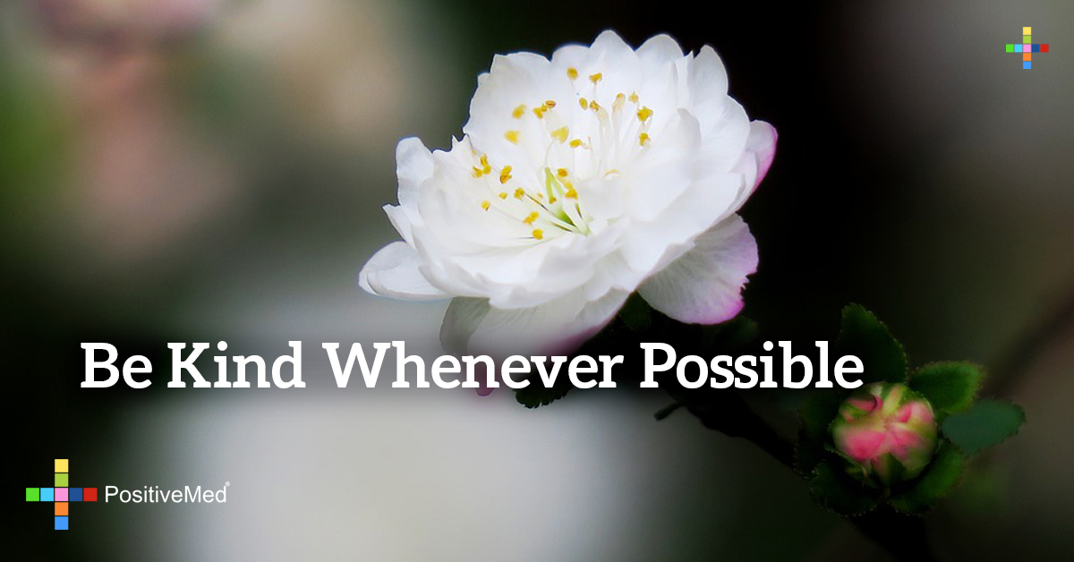Be kind whenever possible - PositiveMed