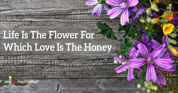 Life is the flower for which love is the honey - PositiveMed