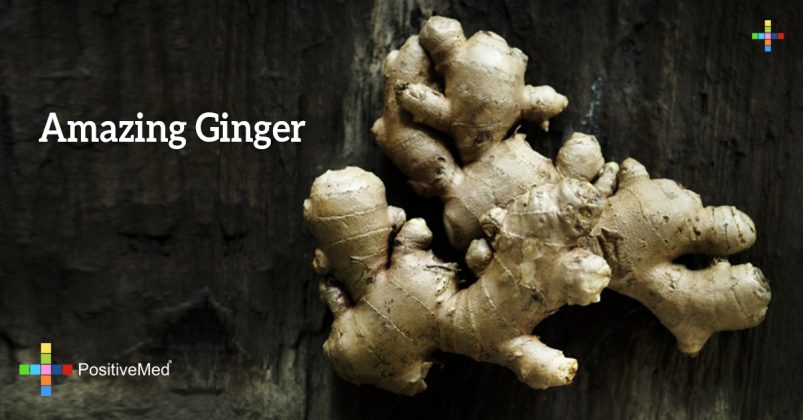 Amazing Ginger